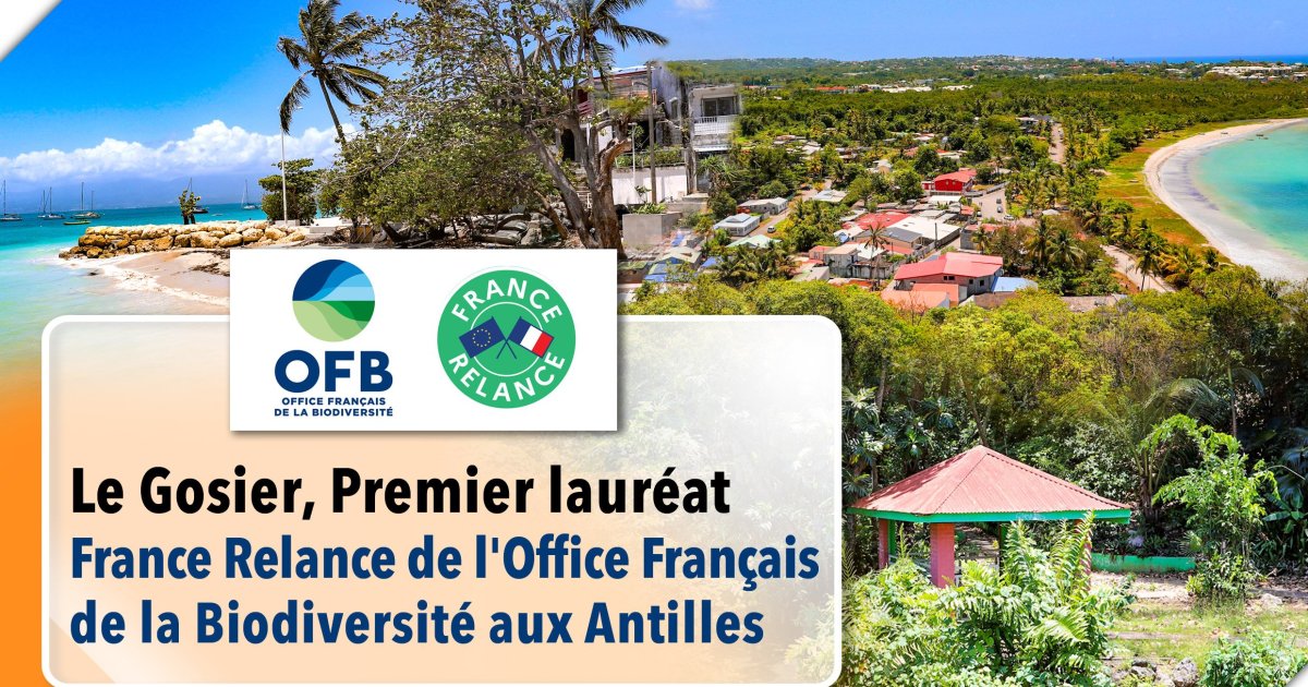 Le Gosier, Premier lauréat France Relance de l'Office Français de la...