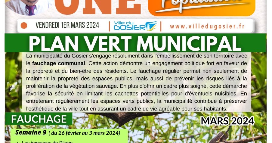 Plan vert municipal