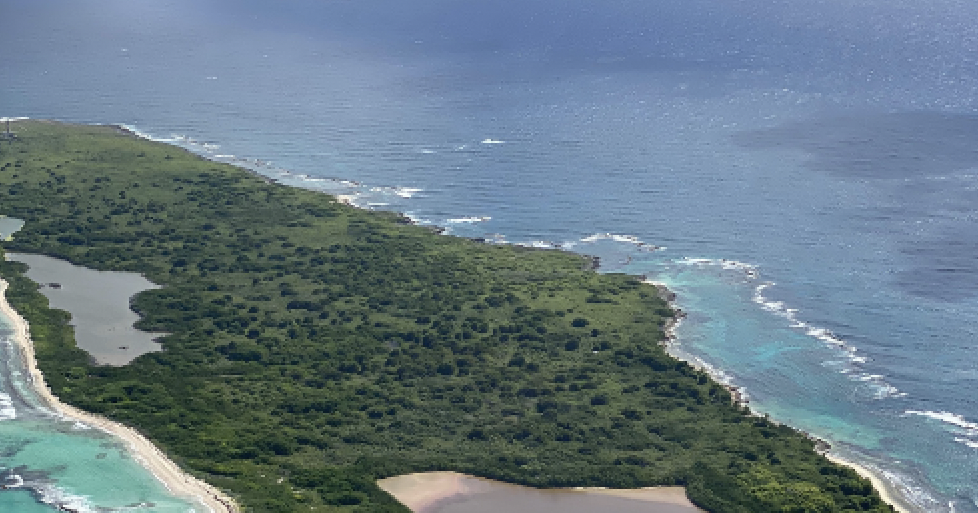 Gwada Gyrocopter, une virée dans les airs